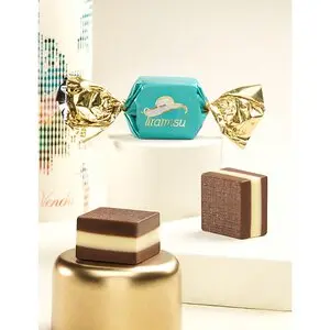 VANCHI Chocolate Advent Calendar 310g