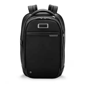 Briggs & Riley Paneled Backpacks