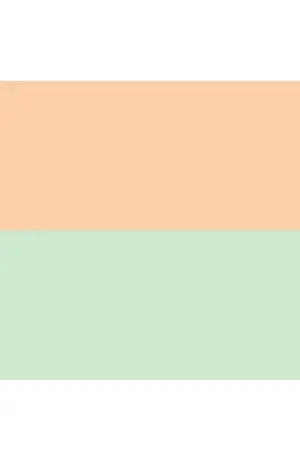 AMAZINGCOSMETICS Color Corrector - Fair-light