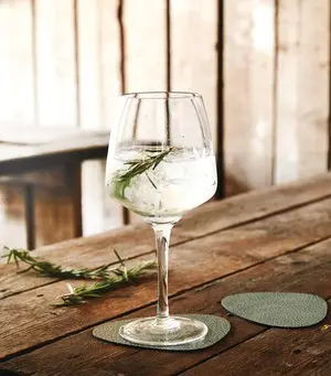 LIND DNA Curve Coaster
