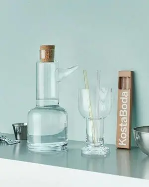 KOSTA BODA Sipsavor 2-piece Glass Straw Set - Clear