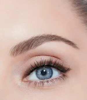 Chanel Le Crayon Yeux Renovation Eye Definer - Brown