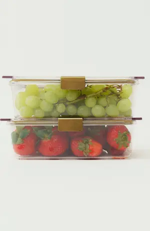MODERN PICNIC Large Luncher + 2 Container Set