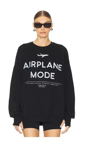 THE LAUNDRY ROOM Airplane Mode Usps Sweatshirt