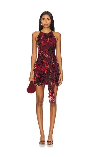 Amanda Uprichard Selah Velvet Dress