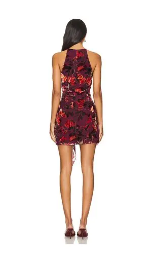 Amanda Uprichard Selah Velvet Dress