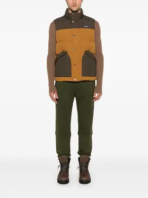 Patagonia Downdrift Gilet