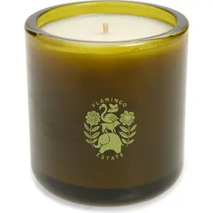 FLAMINGO ESTATE Ancient Agrigento Olive Tree Candle - Green