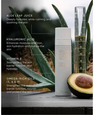 IRENE FORTE SKINCARE Aloe Face Cream 1.69 Oz
