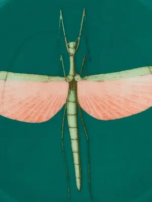 La DoubleJ Libellula Mini Plate