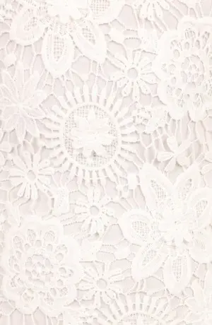PETAL & PUP Becca Lace Midi Dress