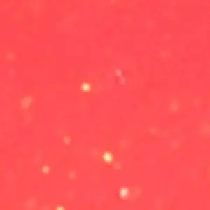 U BEAUTY The Plasma Lip Compound