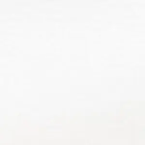 AUTRY Leather Medalist Low-top Sneakers