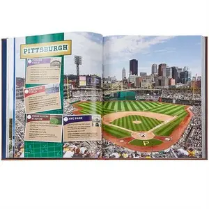 GRAPHIC IMAGE Ballparks Past And Present Leather Coffee Table Book