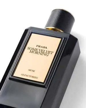 Prada Olfactories Les Mirages Some Velvet Morning Edp 100 Ml
