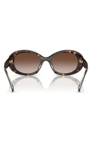 Tory Burch 53mm Gradient Oval Sunglasses - Tortoise