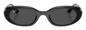 Ray-ban 53mm Oval Sunglasses - Black