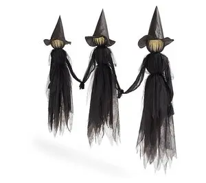 Grandin Road Set Of 3 Holding Hands Witches With Stakes - One-color