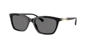 Emporio Armani Sunglasses - Dark Grey Polar