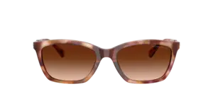 Emporio Armani Full Rim Sunglasses - Gradient Brown