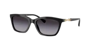 Emporio Armani Sunglasses - Grey Gradient