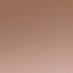 Prada Cat Eye Sunglasses