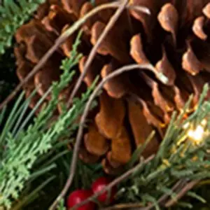 BALSAM HILL Outdoor Red Berry Wreath