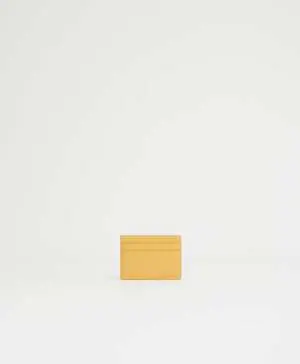 MANSUR GAVRIEL Pocket Card Holder Sole