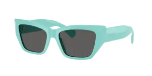 Tiffany & Co. Tiffany & Co. Sunglasses Dark Grey