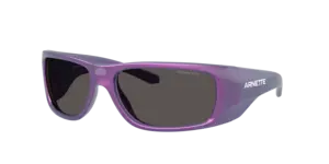 ARNETTE Arnette Flipside Sunglasses Dark Grey