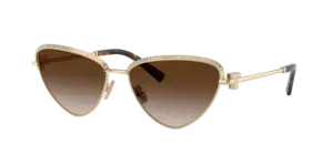 Tiffany & Co. Sunglasses - Brown Gradient