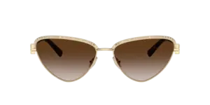 Tiffany & Co. Sunglasses - Brown Gradient
