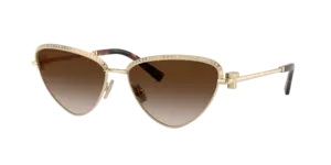 Tiffany & Co. Sunglasses - Brown Gradient