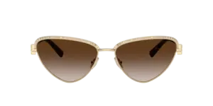 Tiffany & Co. Sunglasses - Brown Gradient