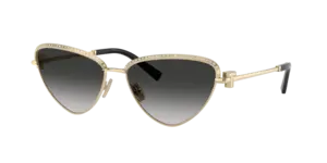 Tiffany & Co. Sunglasses - Brown Gradient