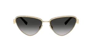 Tiffany & Co. Sunglasses - Grey Gradient