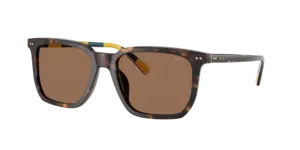 Polo Ralph Lauren Sunglasses - Dark Brown