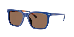 Polo Ralph Lauren Sunglasses - Dark Brown