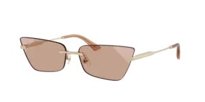 JIMMY CHOO Sunglasses - Pink Gradient