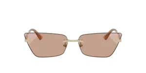 JIMMY CHOO Sunglasses - Pink Gradient