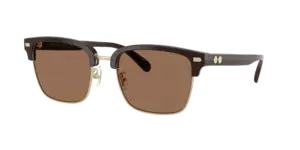 COACH Sunglasses Brown Solid