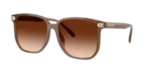 COACH Sunglasses Brown Gradient