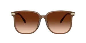 COACH Sunglasses - Brown Gradient