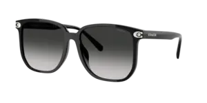 COACH Coach Sunglasses Grey Gradient
