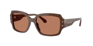 Michael Kors Michael Kors Châtel Sunglasses Nutmeg Solid
