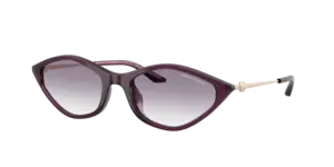 Armani Exchange Sunglasses - Clear Gradient Blue
