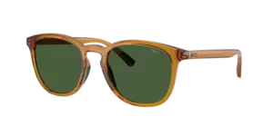 Polo Ralph Lauren Polo Ralph Lauren Sunglasses Bottle Green