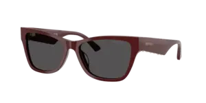 JIMMY CHOO Sunglasses - Dark Grey