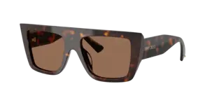 JIMMY CHOO Sunglasses - Dark Brown