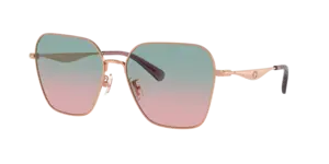 COACH Sunglasses Forest Grape Gradient